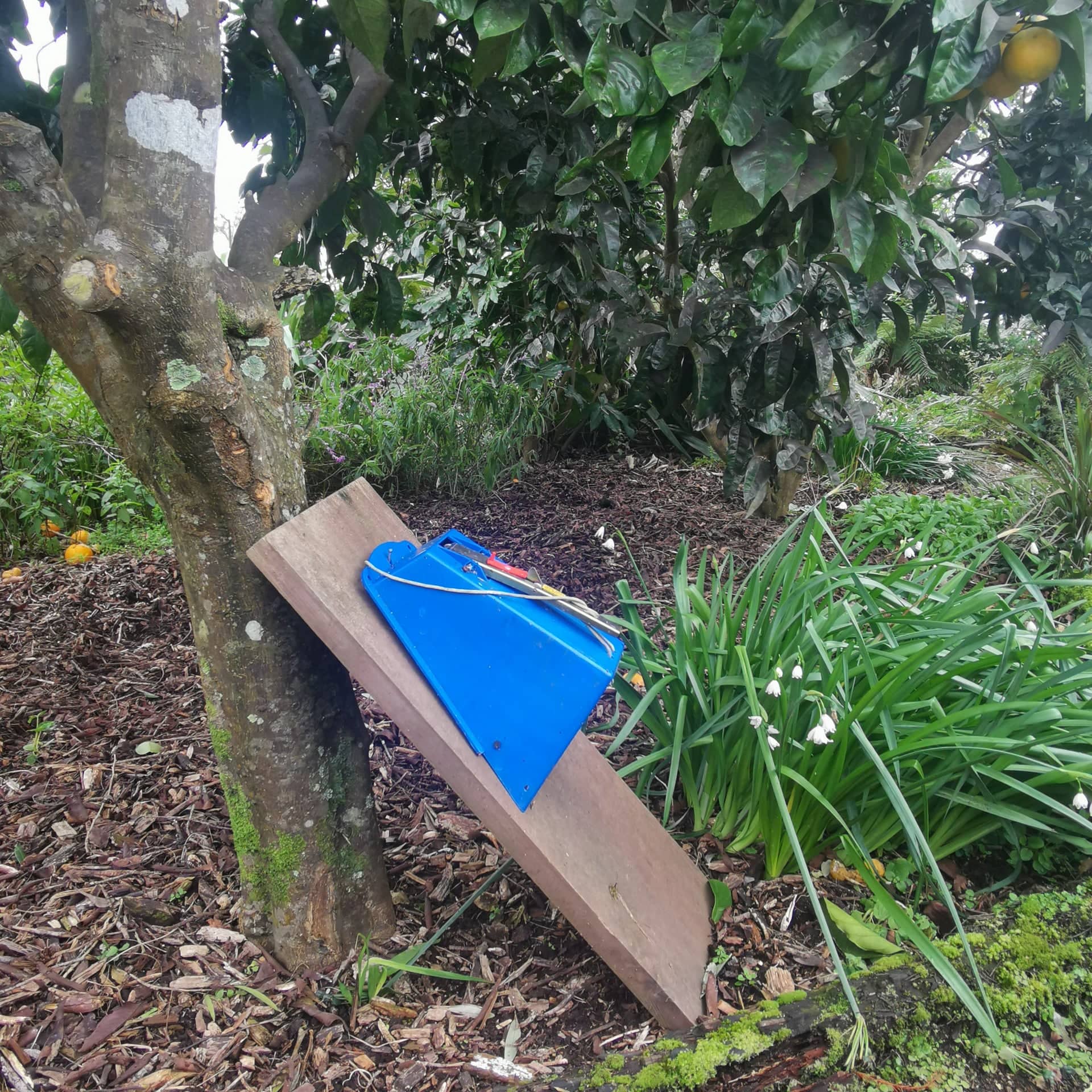 PossumMaster.com | Pest trap | Possums, Mustelids & more