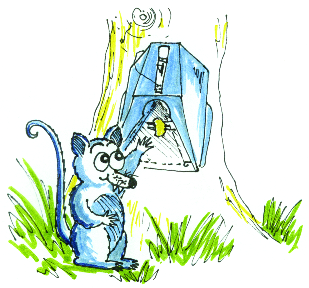 PossumMaster.com | Pest trap | Possums, Mustelids & more